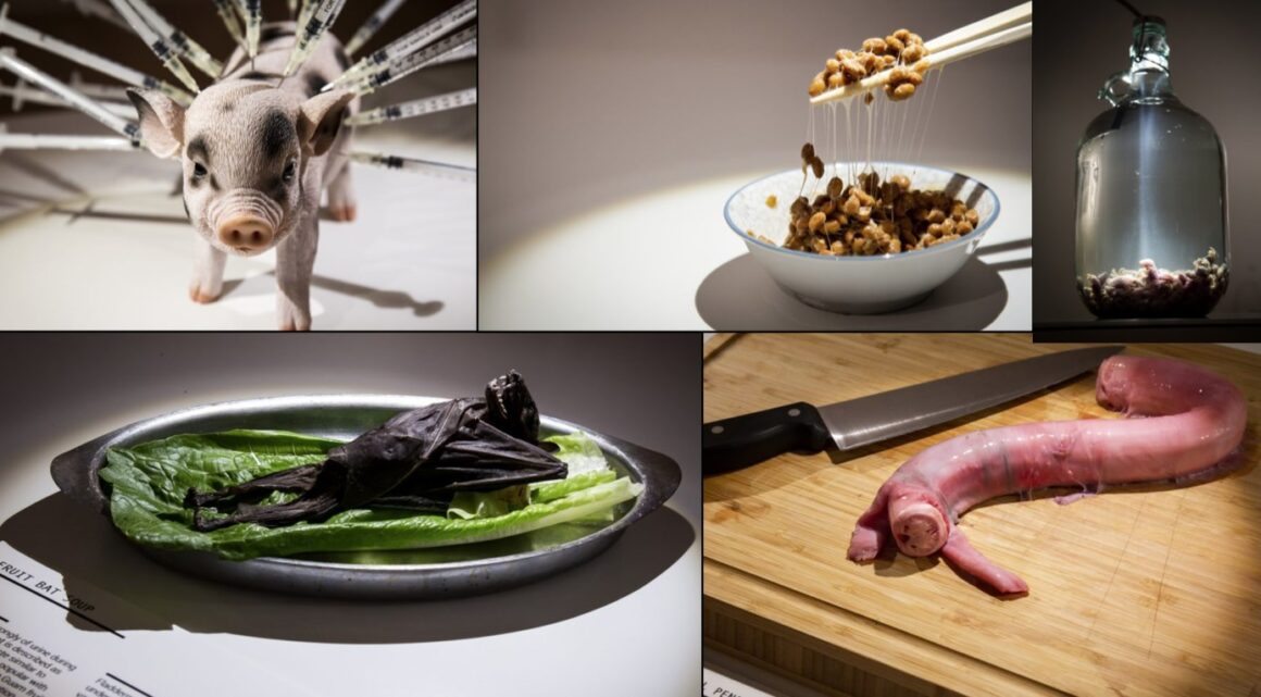 Disgusting Food Museum - Nordik Simit