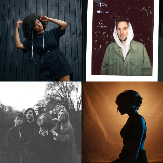 Haftalık Keşif - Nordik Simit